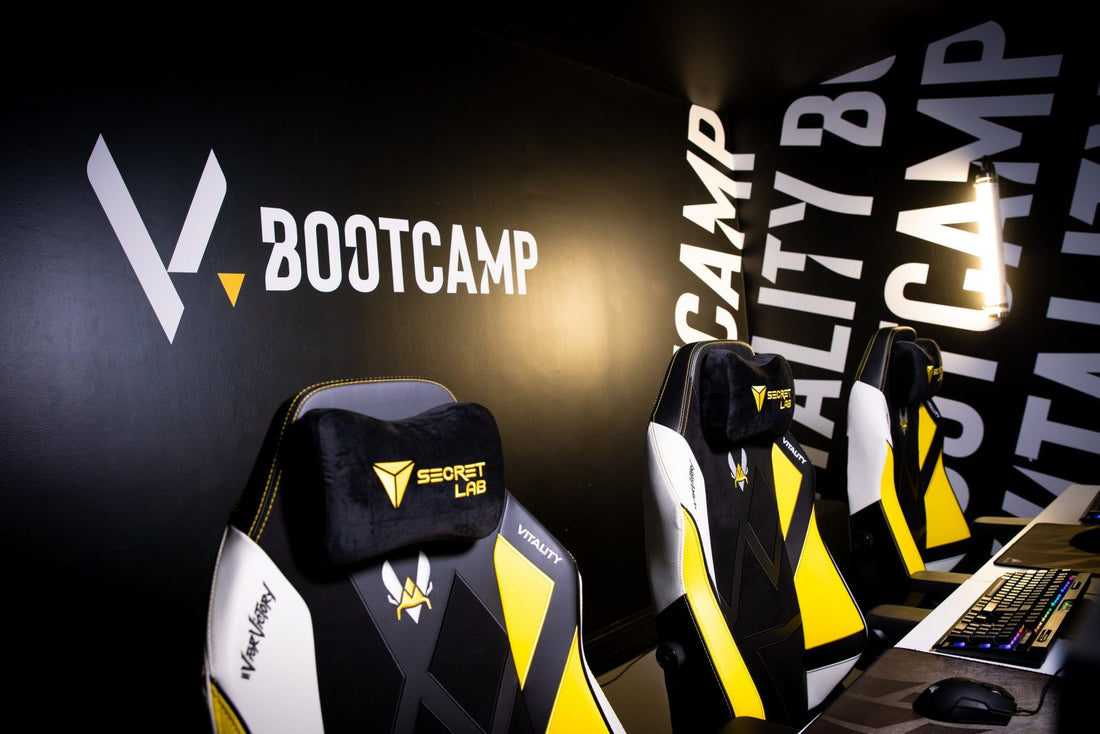 V.Hive Paris – Team Vitality