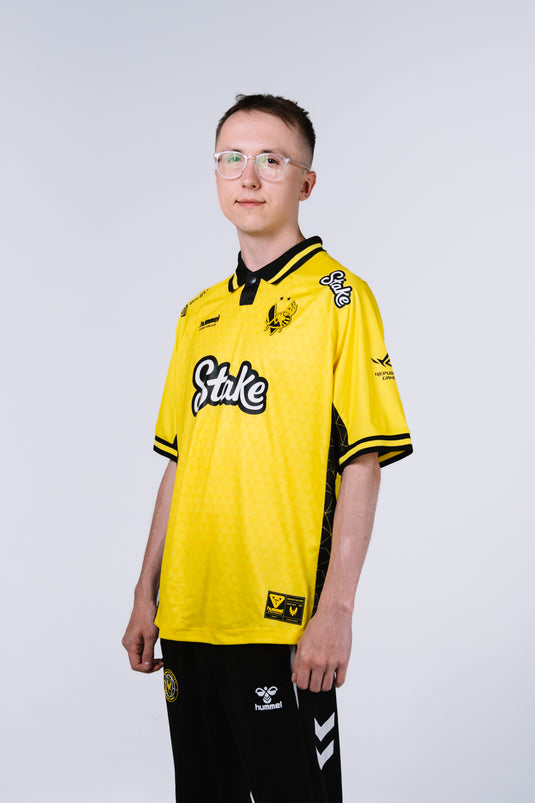 Players Counter Strike 2 – Team Vitality