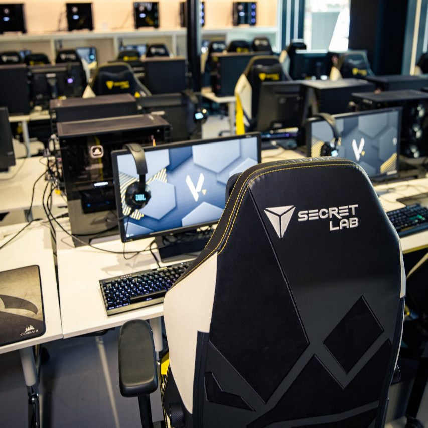 V.Hive Paris – Team Vitality